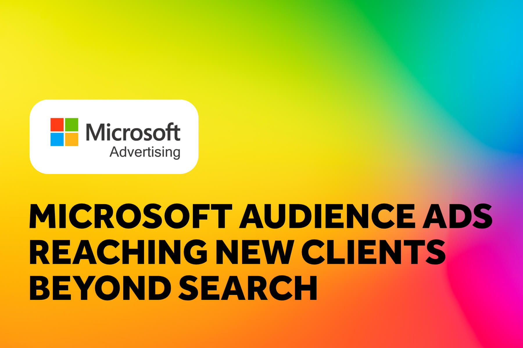 Microsoft Audience Ads for B2B Campaigns
